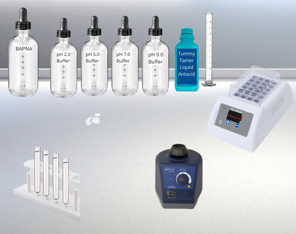 Pearson Interactive Labs - A&P