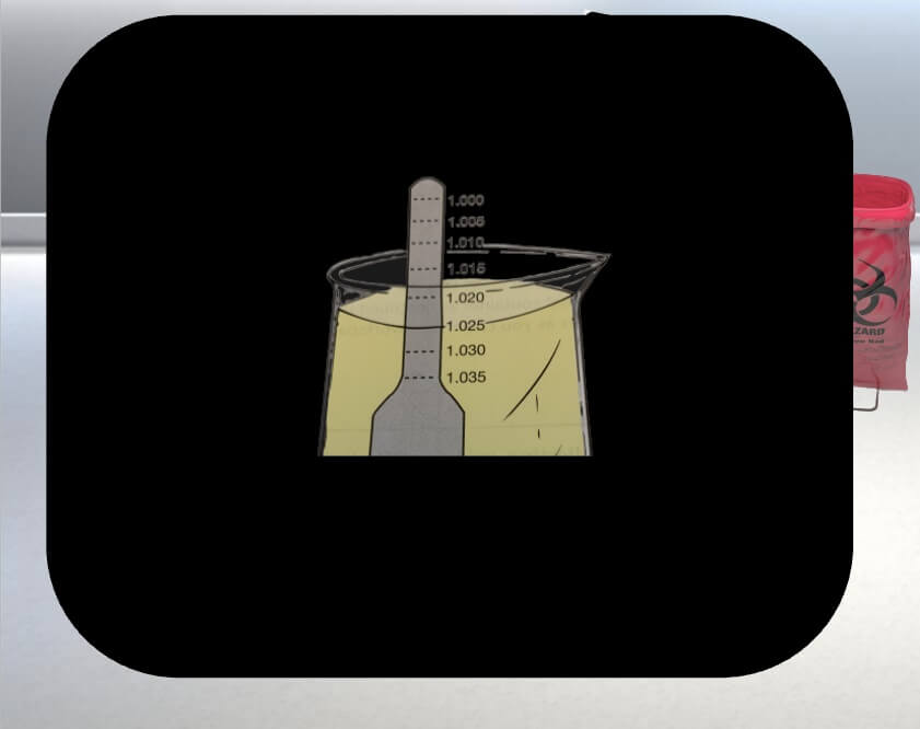 Pearson Interactive Labs - A&P