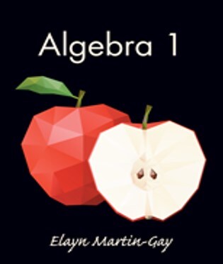 Algebra 1, 1st Edition