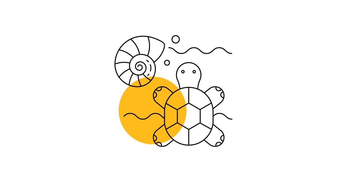 Resources for Teaching HASS in Primary School | Pearson Schools